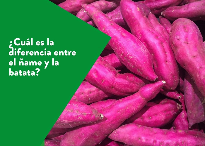 ¿Cuál es la diferencia entre el ñame y la batata?